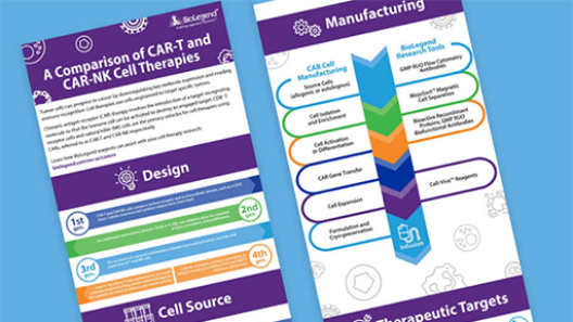 Protein Analysis Products and Solutions | Revvity