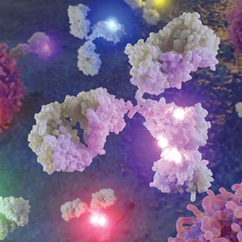 Cell Analysis Solutions | Revvity