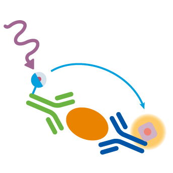 Protein Analysis Products and Solutions | Revvity