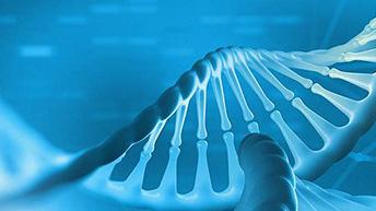 Genomic Analysis Solutions | Revvity